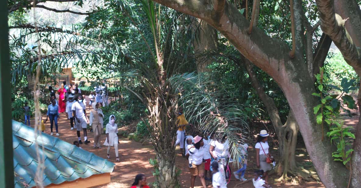 1-Day Best of Entebbe City Guided Walking Tour | GetYourGuide