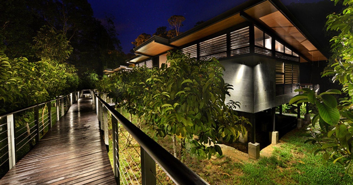 Lahad Datu: 3-Day Danum Valley Rainforest Adventure | GetYourGuide