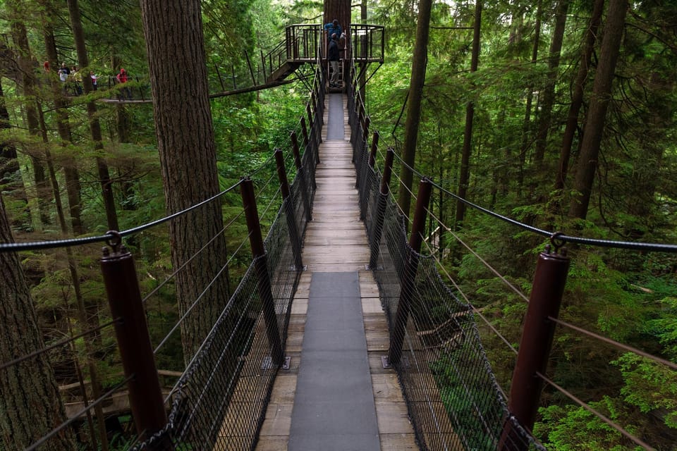 Grouse Mountain & Capilano Hängebrücke Park Abenteuer | GetYourGuide
