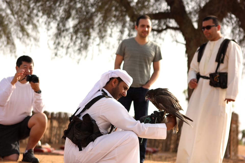 Dubai Falconry Safari | GetYourGuide