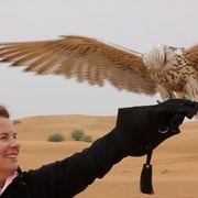 Dubai Falconry Safari | GetYourGuide