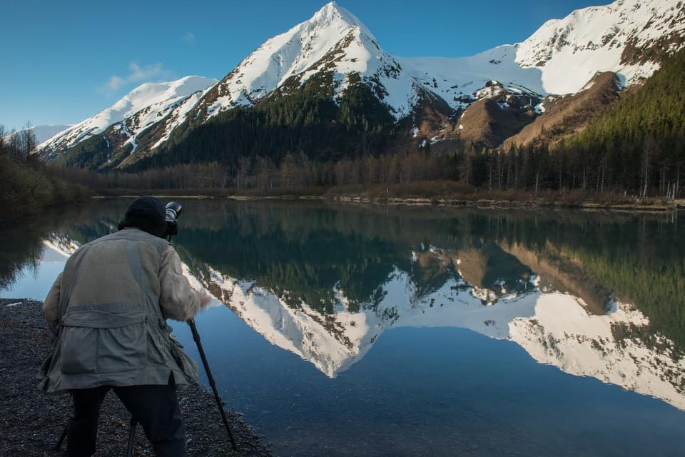 Anchorage: Turnagain Arm Highlights Photography Day Trip | GetYourGuide