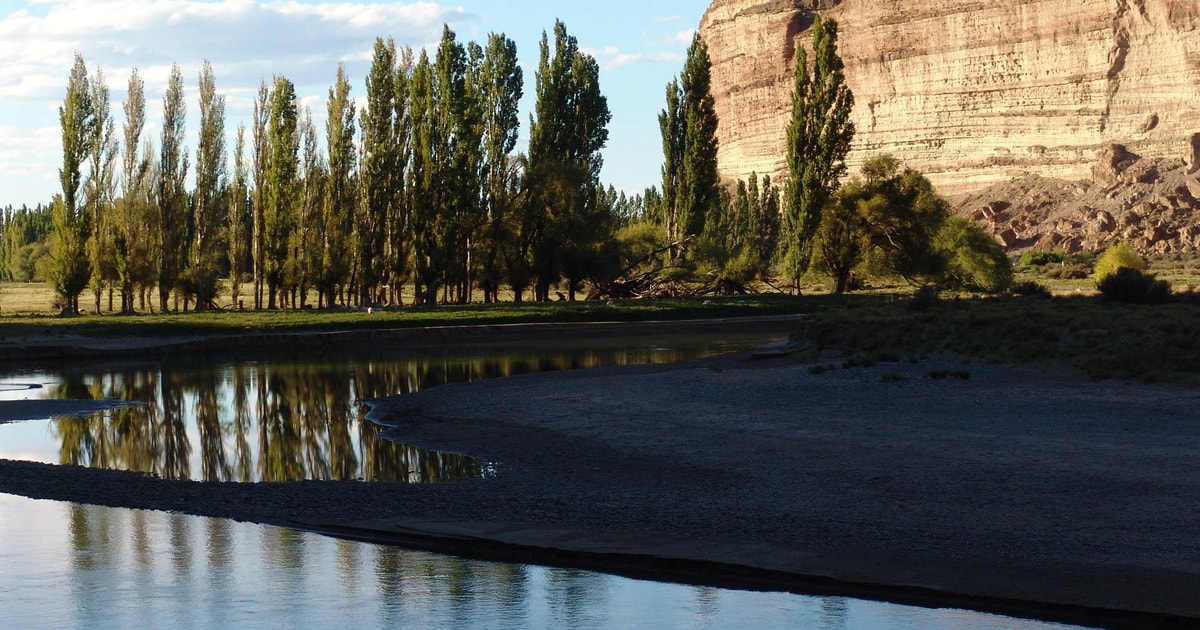 From Puerto Madryn: Chubut River Valley Welsh Colonies | GetYourGuide