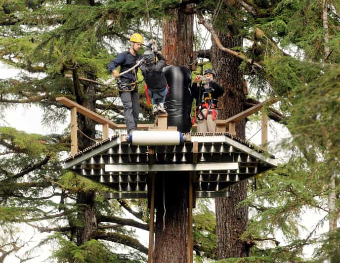 Ketchikan: Rainforest Zipline, Skybridge, & Rappel Adventure | GetYourGuide