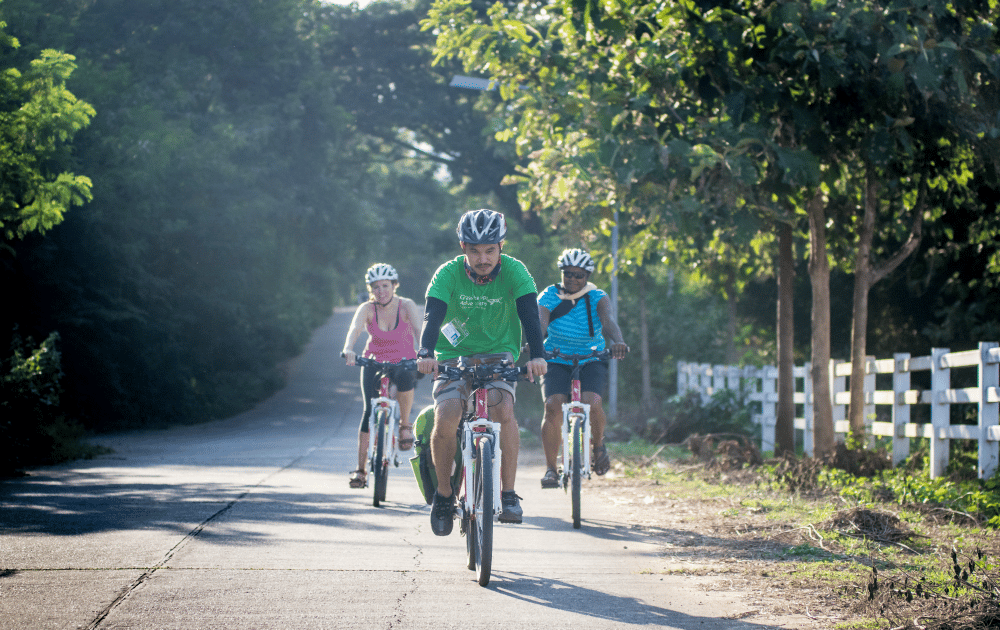 Chiang Mai Countryside Active E-bike Ride | GetYourGuide