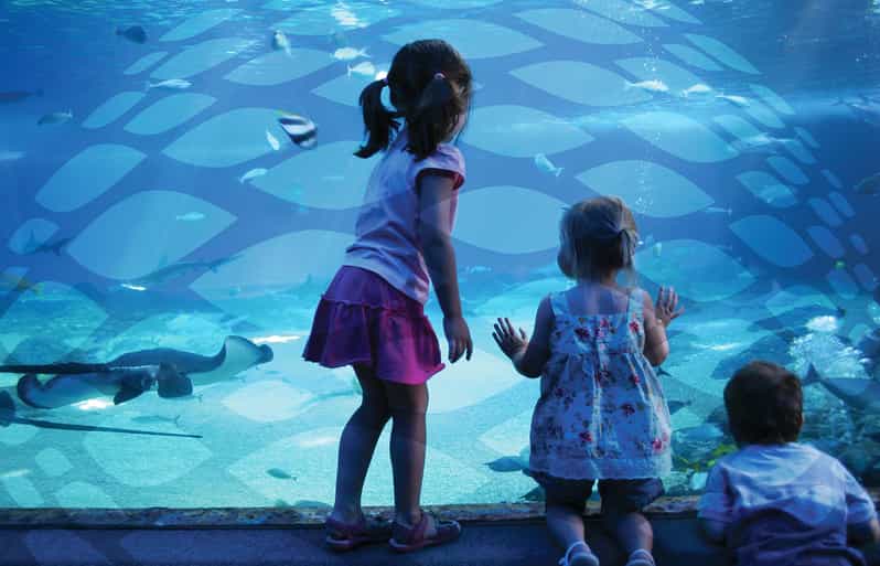 Istanbul Aquarium and Aqua Florya Shopping Mall Tour | GetYourGuide