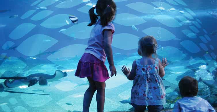 Istanbul Aquarium and Aqua Florya Shopping Mall Tour | GetYourGuide