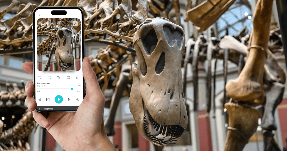 Berlin: Natural History Museum Ticket and Audio Tour (ENG) | GetYourGuide