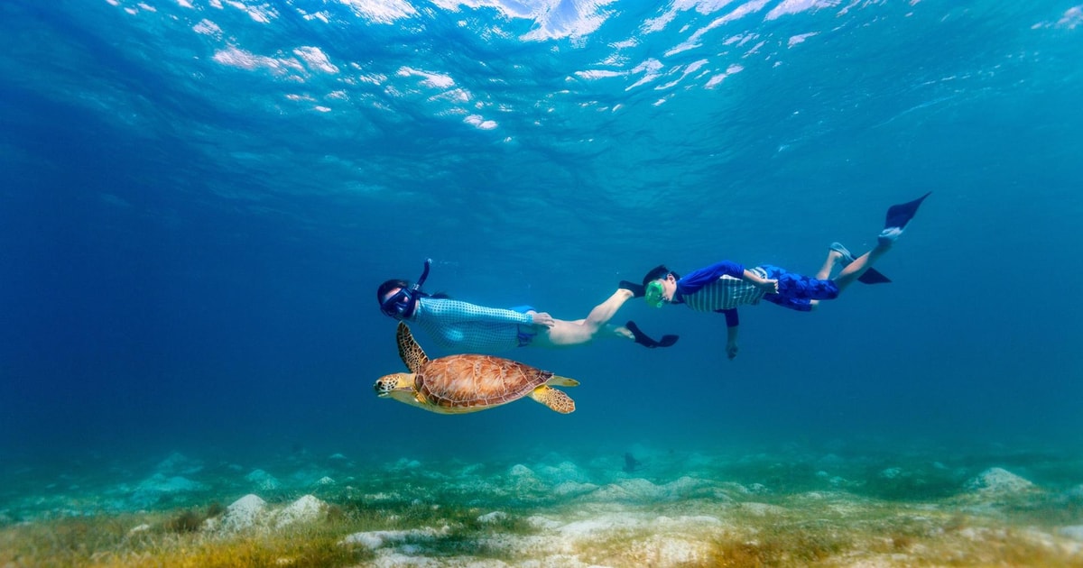 Honolulu: Hanauma Bay State Park Snorkeling Trip | GetYourGuide