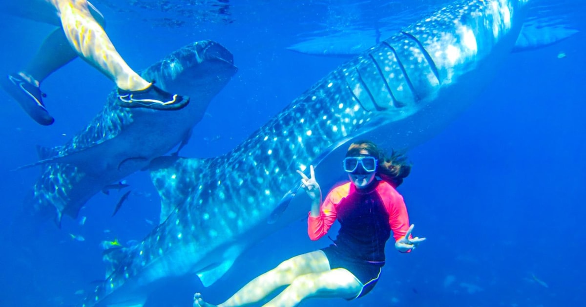 Cebu: Oslob Whale Sharks & Kawasan Canyoneering Group Tour | GetYourGuide