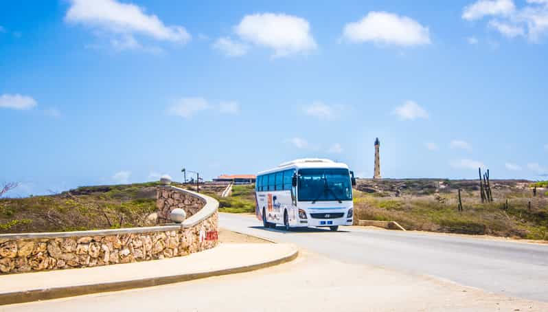 Discover the Island of Aruba: 4-Hour Bus Tour & Snorkel | GetYourGuide