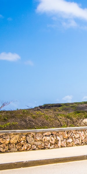 Discover the Island of Aruba: 4-Hour Bus Tour & Snorkel | GetYourGuide