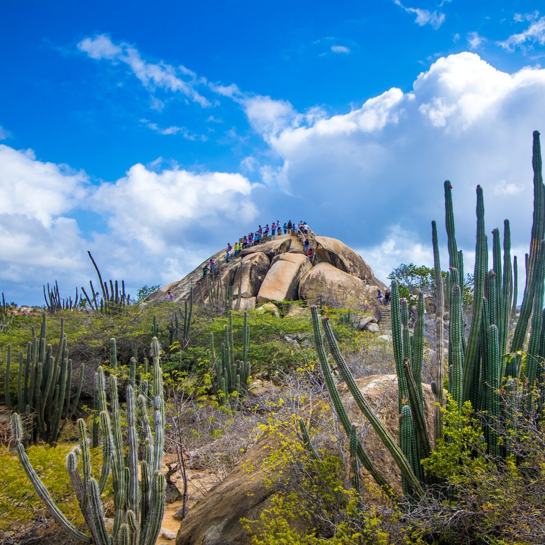 Discover the Island of Aruba: 4-Hour Bus Tour & Snorkel | GetYourGuide