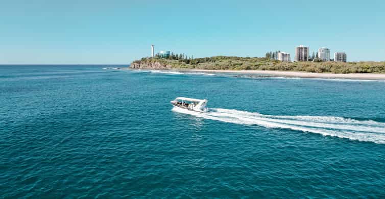 Mooloolaba: Adventure Rafting Turtle Tour | GetYourGuide