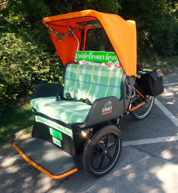 RAXI (rickshaw eléctrico) gran visita panorámica de 3 horas Viena ...