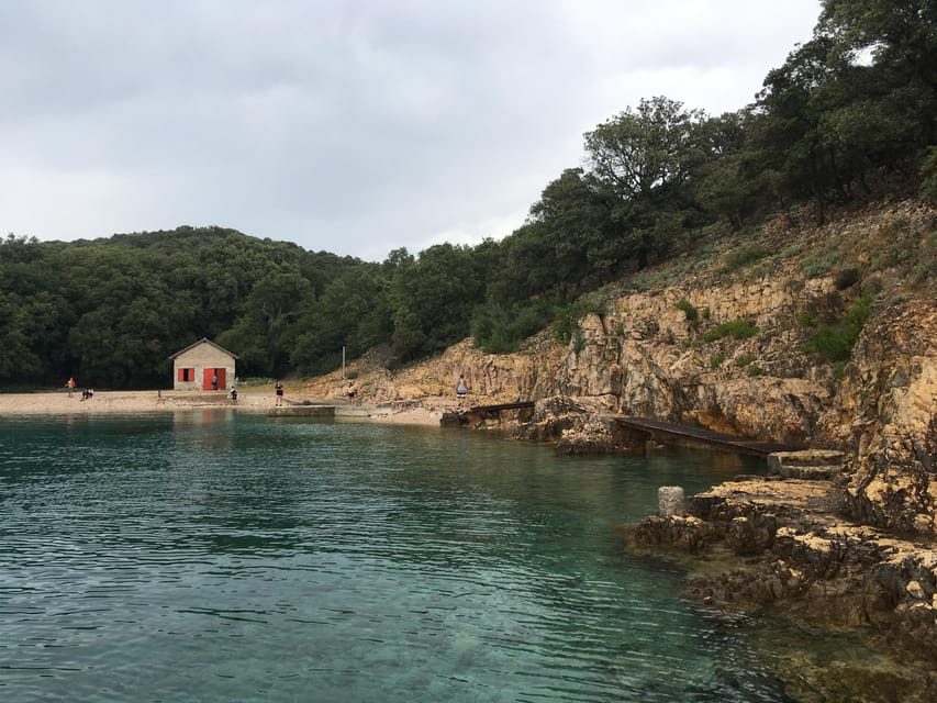 Plavnik Island: Swimming and Snorkeling with Captain Bobo | GetYourGuide