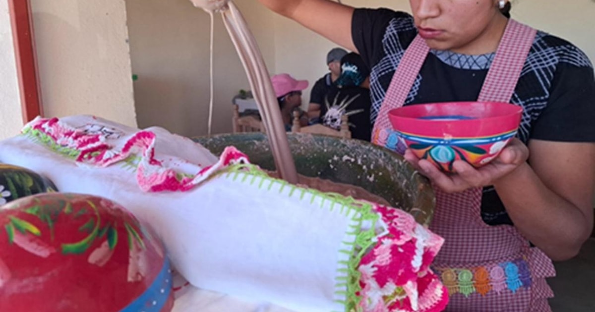 Gastronomic Tour with Private Service from Oaxaca City | GetYourGuide