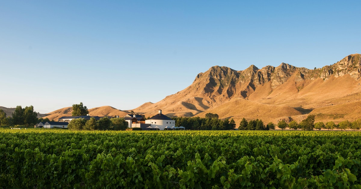 Napier Craggy Range Wine tour with Te Mata Peak summit views | GetYourGuide