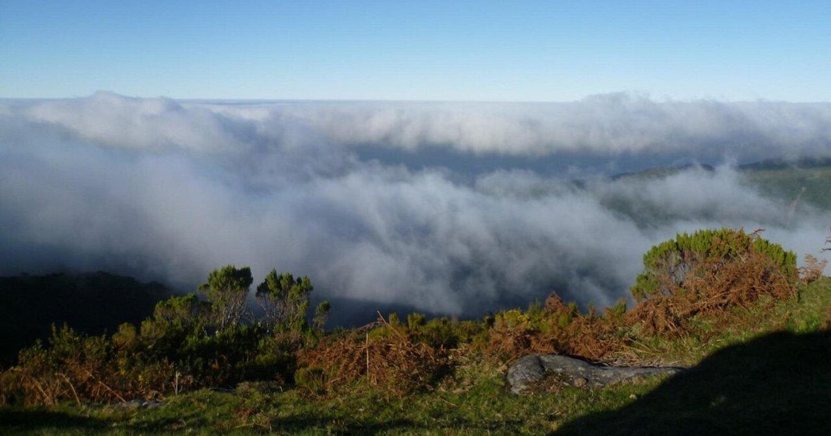 The High Plateaus of the West : Fanal and Bica da Cana | GetYourGuide