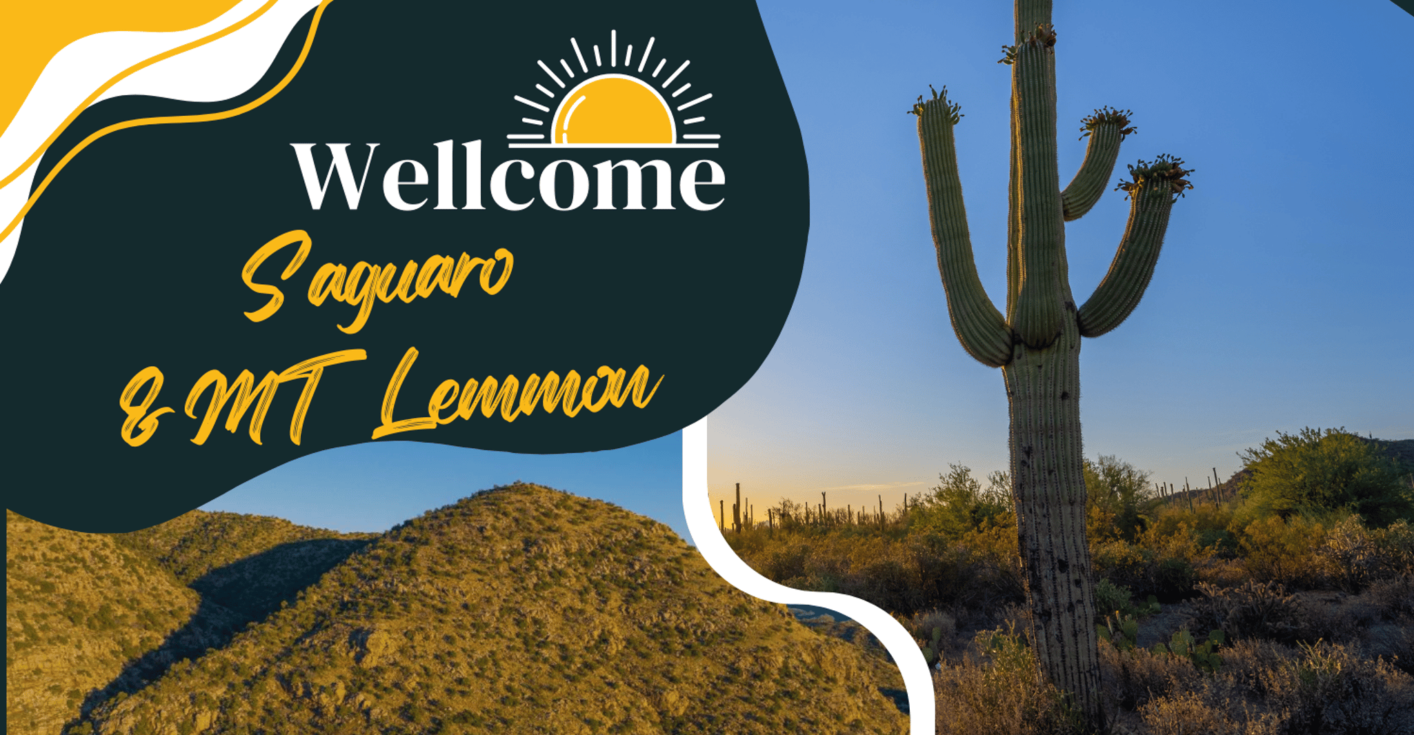 Tucson, Mt Lemmon & Saguaro NP Self-Guided Bundle Tour | Adventure in ...