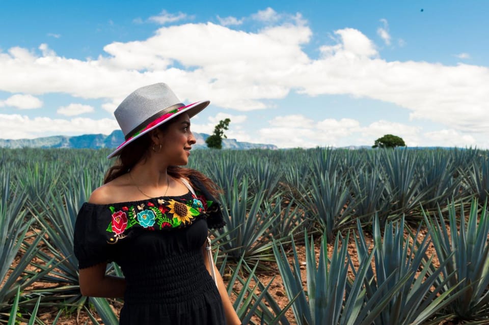 Tequila Tour De Día Completo Para Descubrir Amatitán Getyourguide