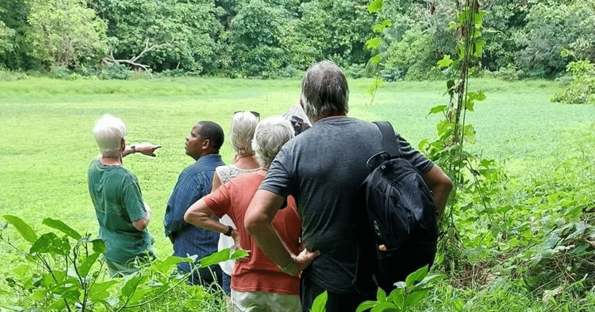 Pemba Island: Makangale Village Tour with Guide | GetYourGuide