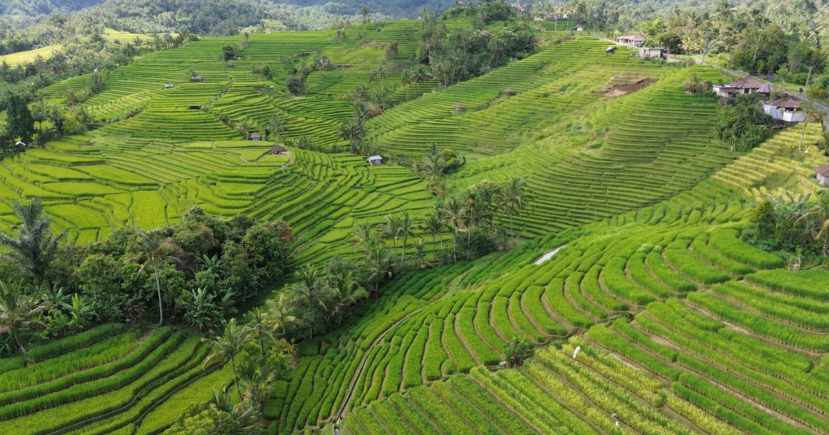 Bali: Belimbing Village Trek with Waterfall & Temple Visit | GetYourGuide