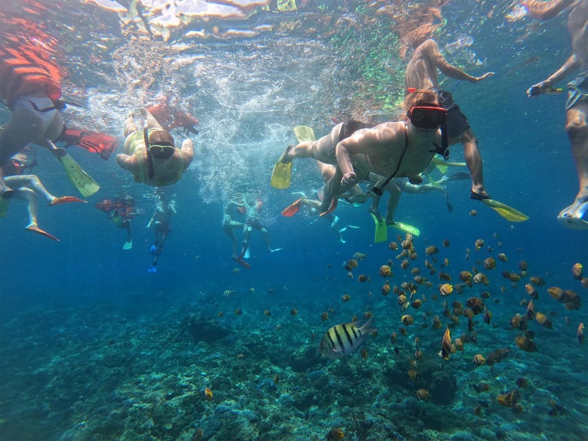 Nusa Penida: Guided Snorkel and Swim with Manta Rays Cruise | GetYourGuide