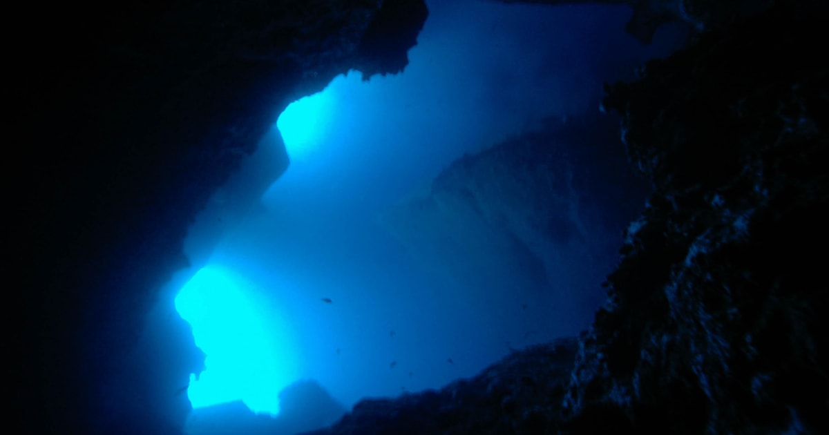 Dive The Blue Dome | GetYourGuide