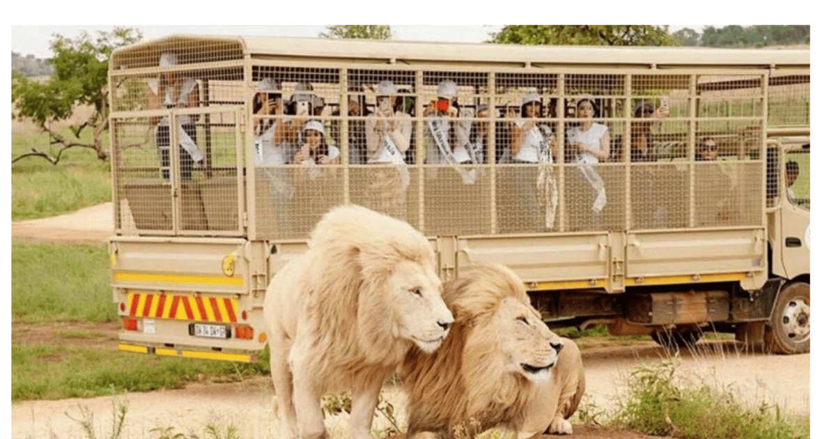 Ukuthula Lodge | GetYourGuide