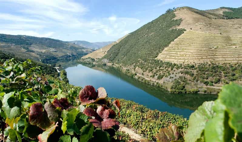 From Porto: Pinhão and Douro Valley Scenic Boat Tour | GetYourGuide