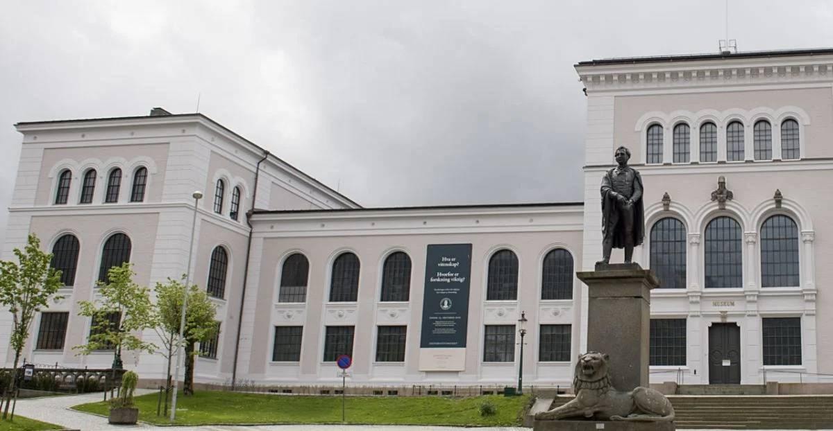 Bergen University District: A Self-Guided Audio Tour | GetYourGuide