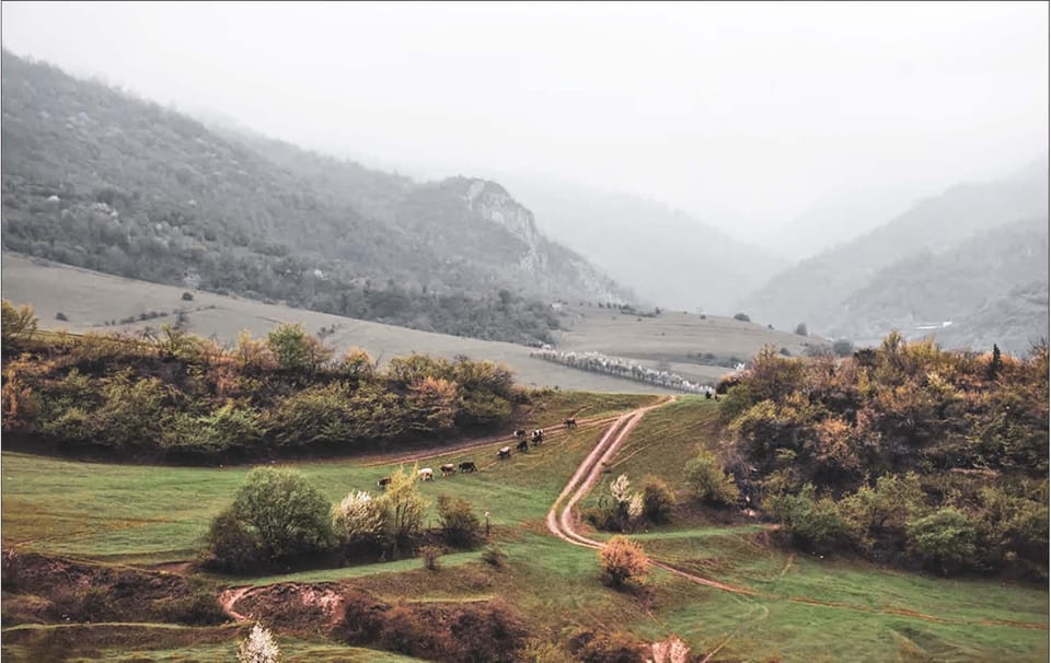 Tavush Province: Hiking to Mount Tesilk & Cave | GetYourGuide