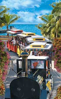 Key West Conch Train Tour | GetYourGuide