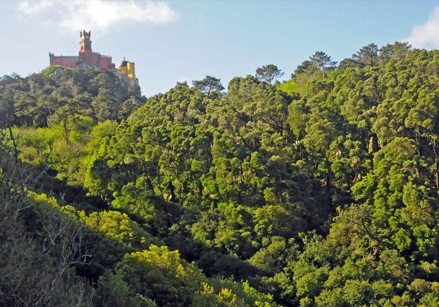 Sintra: Half Day Trekking Tour | GetYourGuide