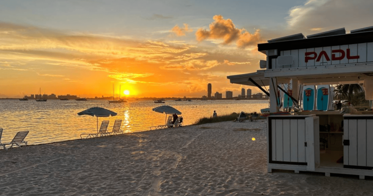 Miami : Biscayne Bay Paddle Tour - PADL Beach Club | GetYourGuide