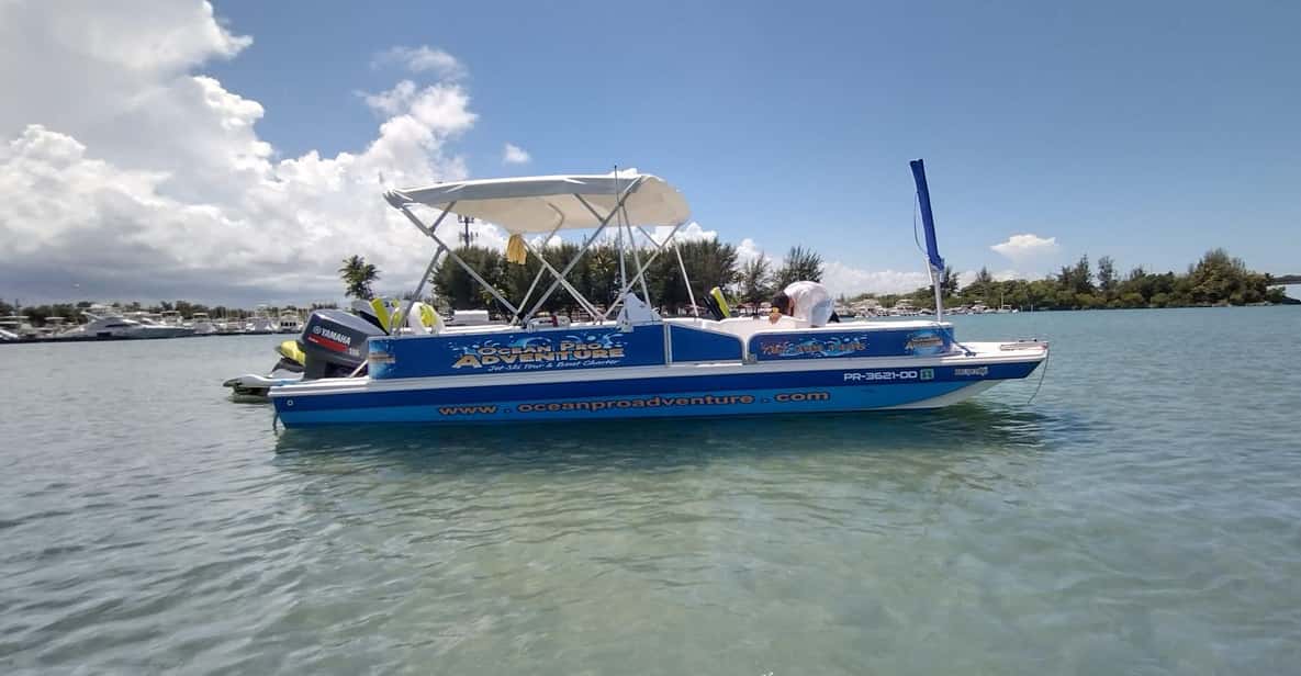 Pontoon tours: 90 min boat tours with Captain | GetYourGuide