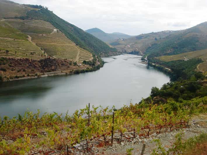 Full-Day Private Tour (Porto City + Douro Valley) | GetYourGuide