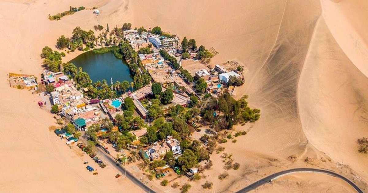 Desde Lima: Islas Ballestas y Huacachina Todo Incluido | GetYourGuide