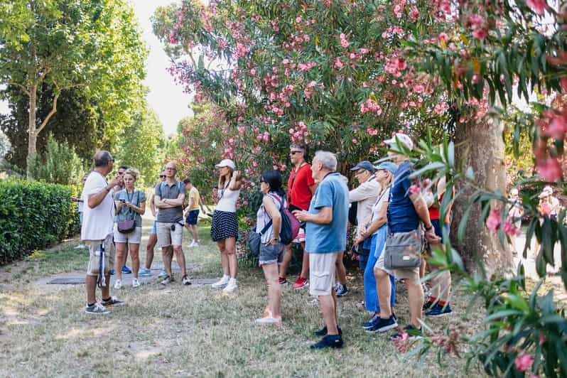 From Naples: Pompeii Ruins & Mount Vesuvius Day Tour | GetYourGuide