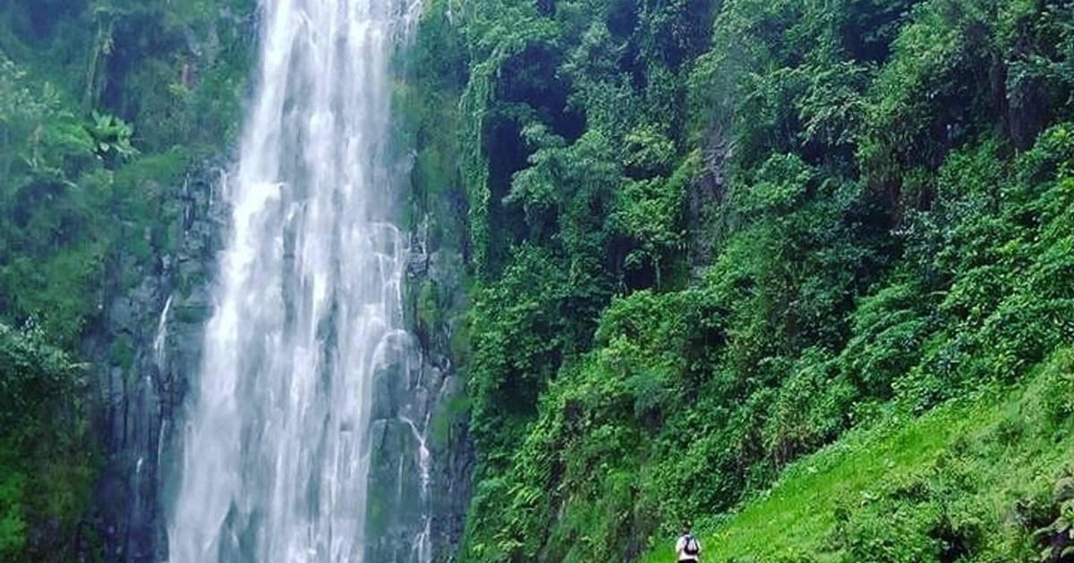 Materuni Waterfall & Coffee Tour | GetYourGuide