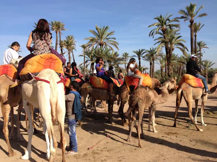 Marrakech: Camel Ride in Palm Groves with Tea Break | GetYourGuide
