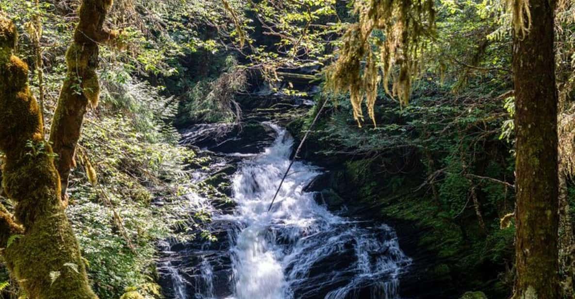 Ketchikan: Kikanik: Old-Growth Creek Trek Guided Tour | GetYourGuide
