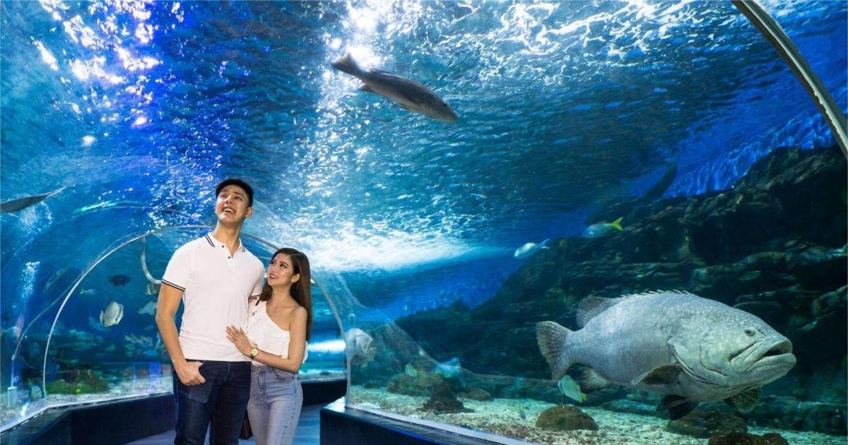 Manila Manila Ocean Park P sylippu GetYourGuide Manila Manila Ocean Park P sylippu GetYourGuide