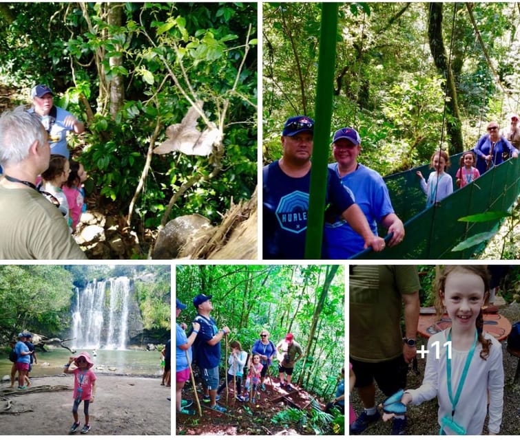 Liberia: Sloths, Rainforest, Waterfall, Nature & wildlife. | GetYourGuide