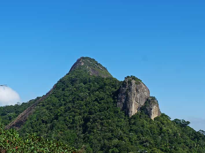 Rio de Janeiro: Tijuca Peak Guided Hike | GetYourGuide
