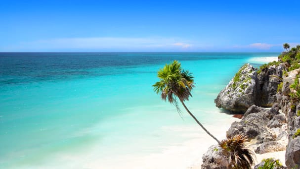Tulum Explorer Tour | GetYourGuide