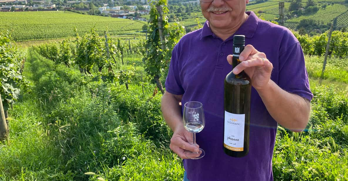 Stuttgart: Wine Tour with wines of the best winemakers | GetYourGuide