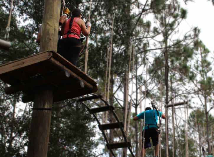 Orlando: Tree Trek Admission Ticket | GetYourGuide
