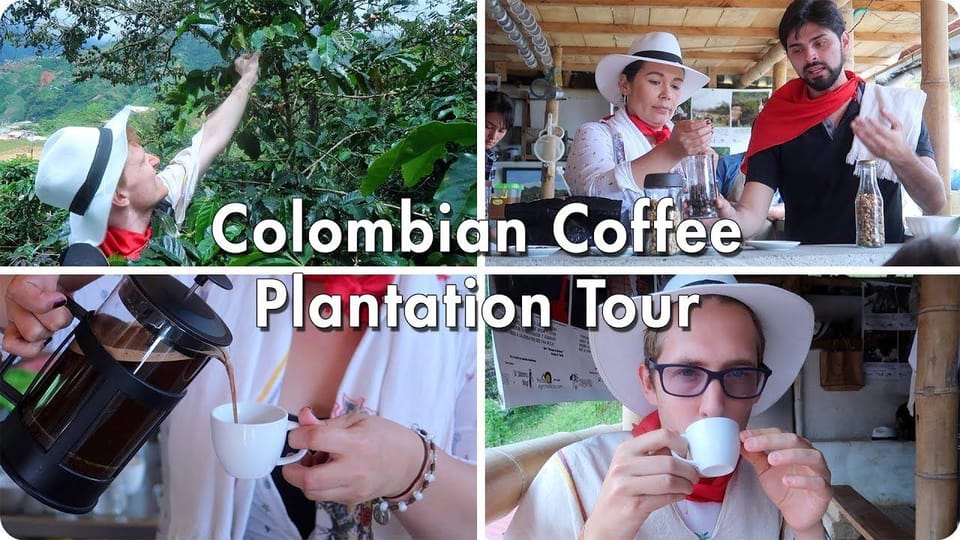 From Farm to Cup: The Ultimate Coffee Tour | GetYourGuide